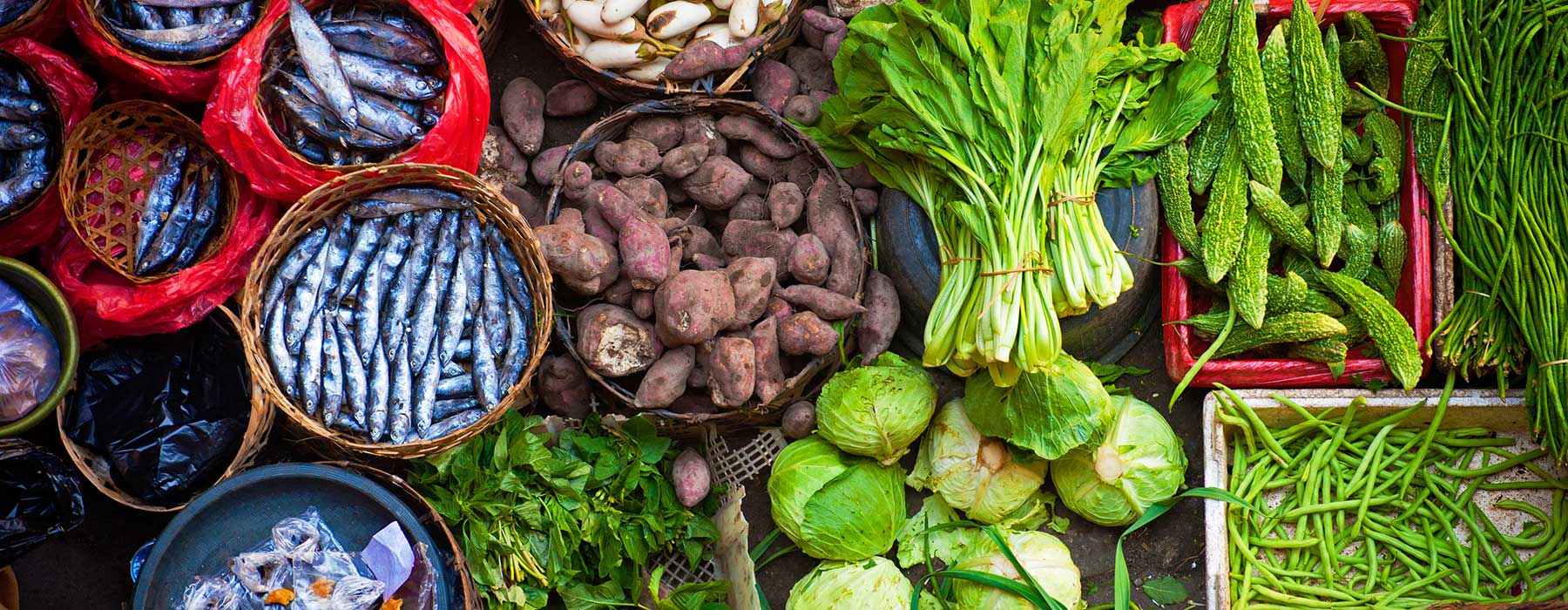 Impact - Eat Well Global